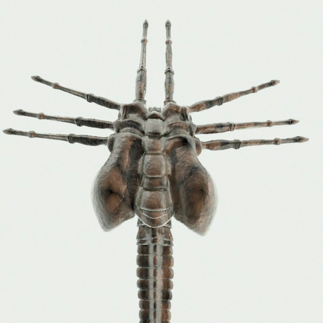 3d Model Of Facehugger Alien