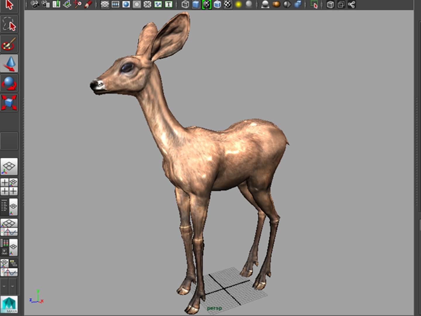 3d Deer Animal