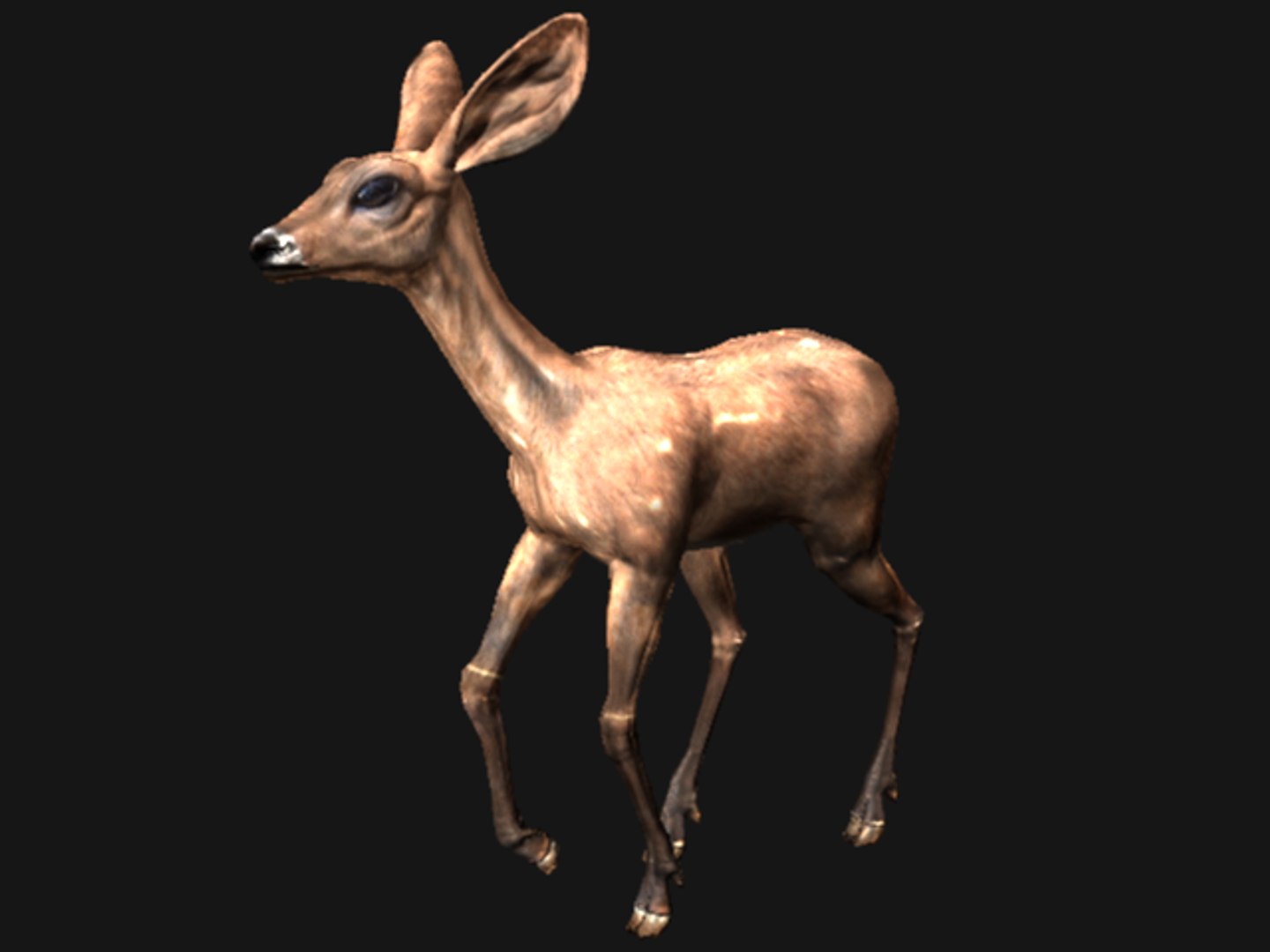 3d Deer Animal