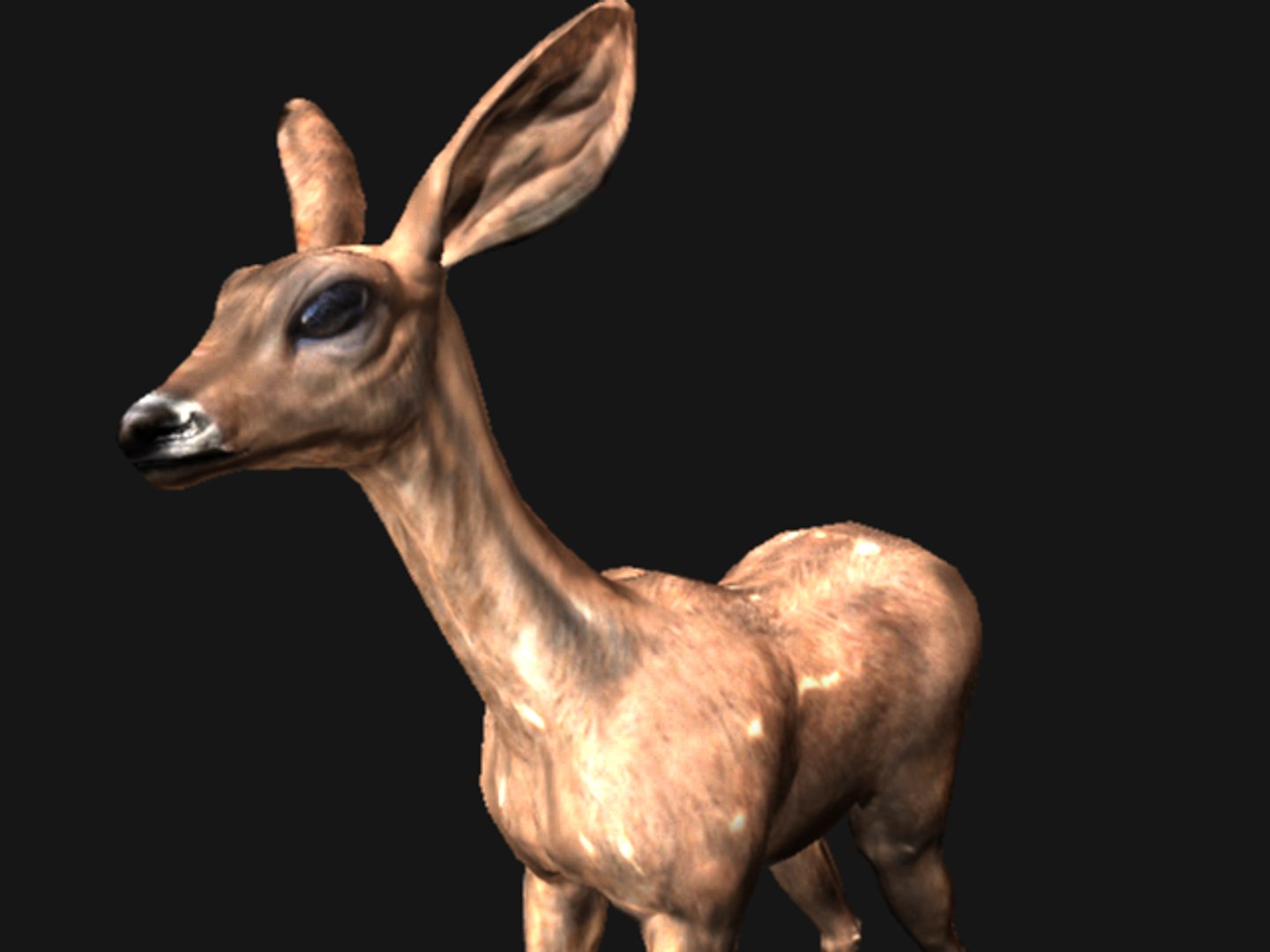 3d Deer Animal