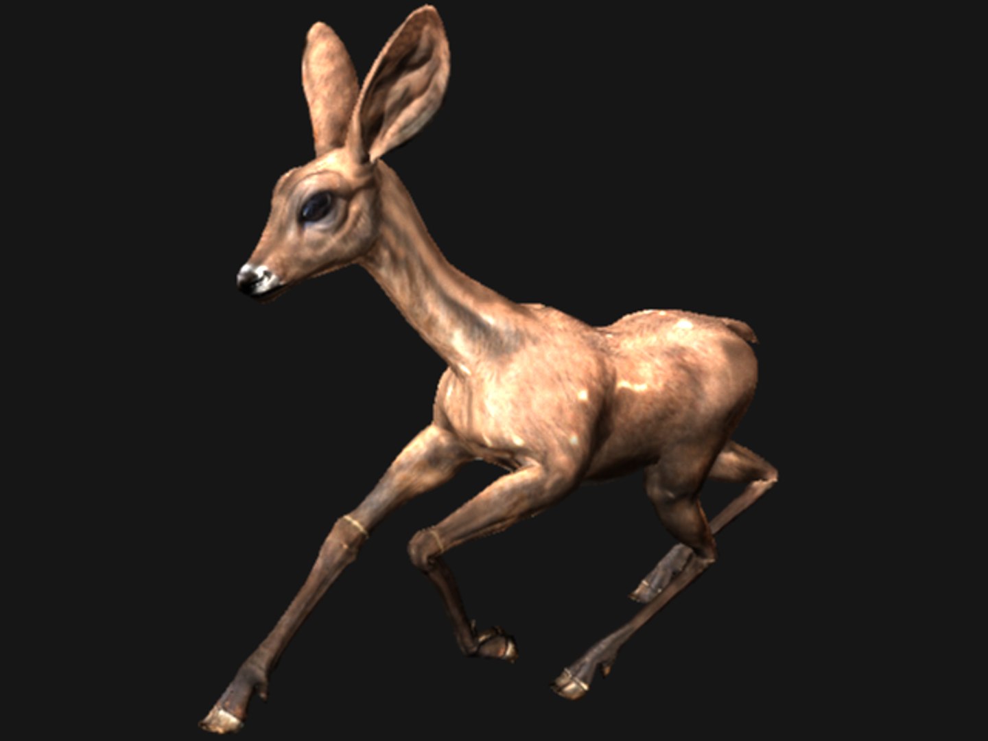 3d Deer Animal