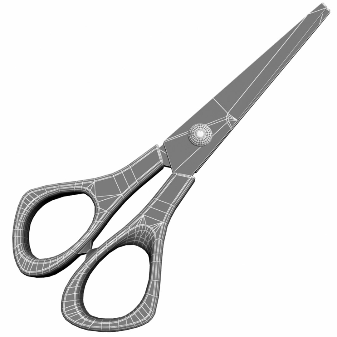 3d Scissors Modelled Function Model