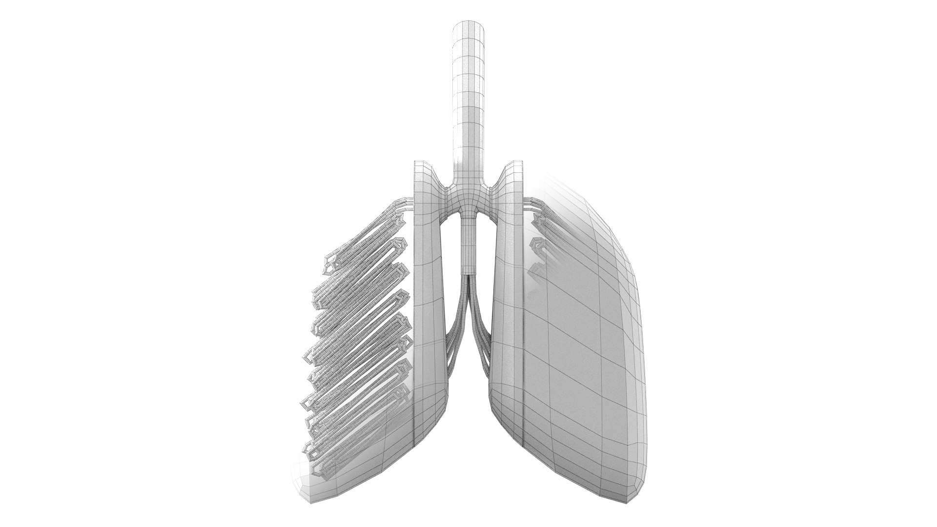 Sci-Fi Artificial Lungs 3D Model - TurboSquid 2223426