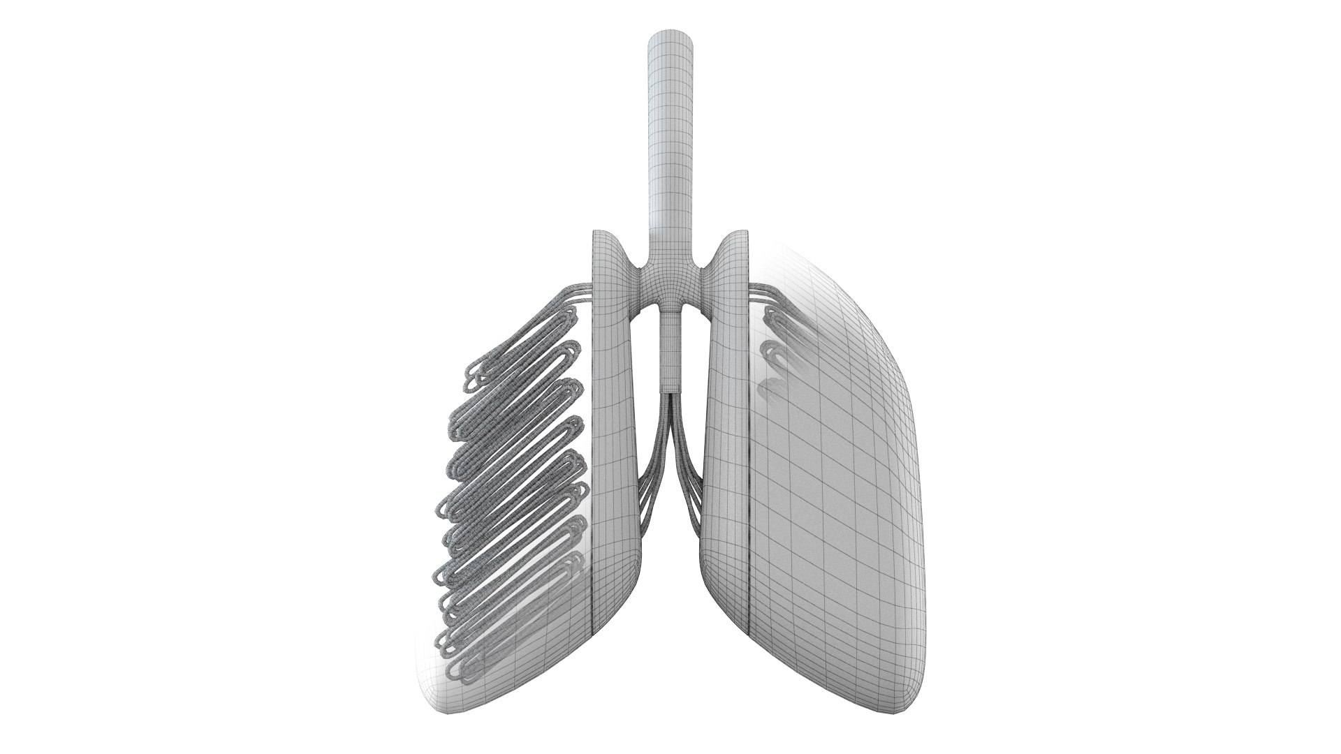 Sci-Fi Artificial Lungs 3D Model - TurboSquid 2223426