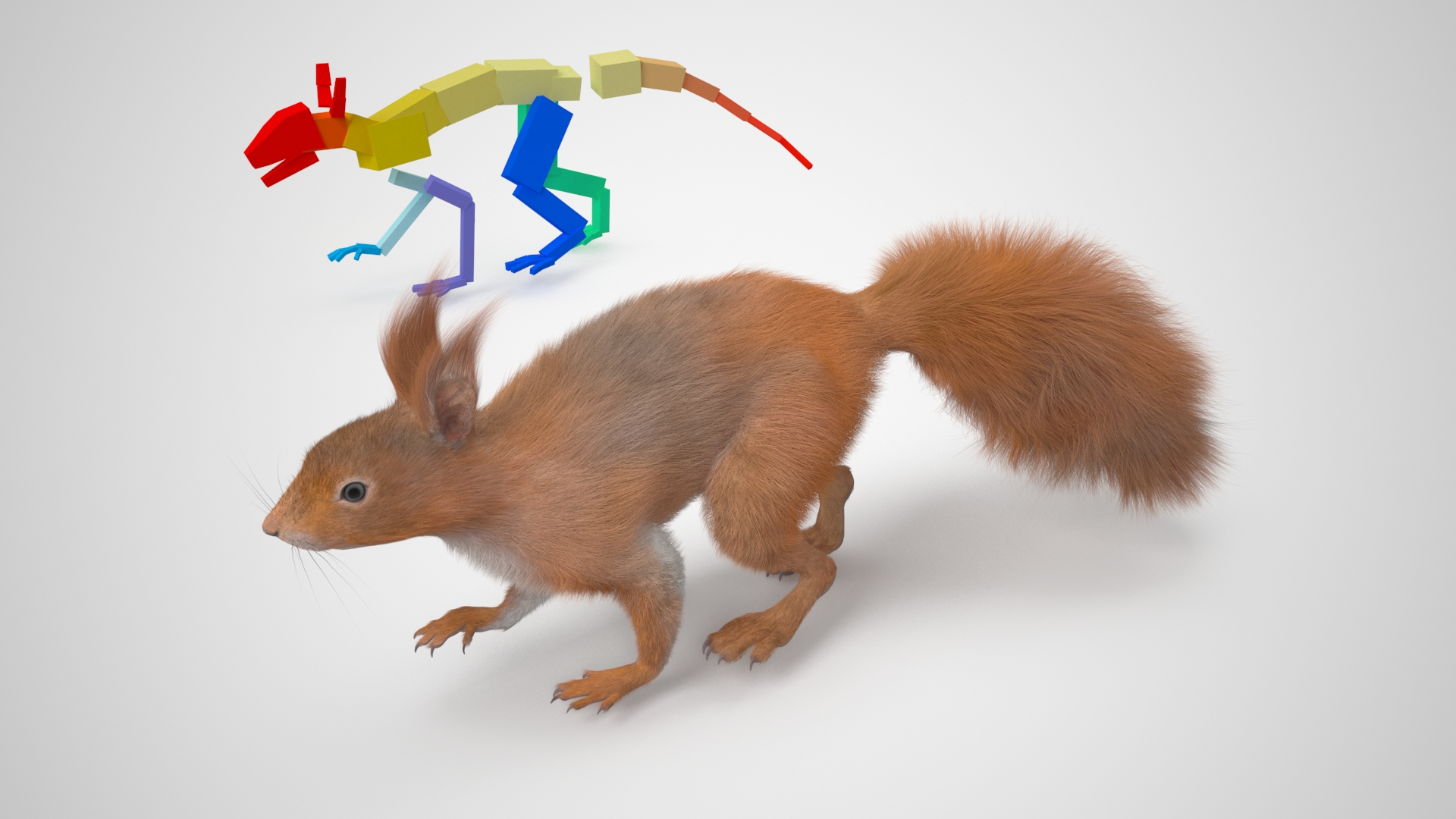 Red Squirrel Fur Rigged 3D - TurboSquid 2268693