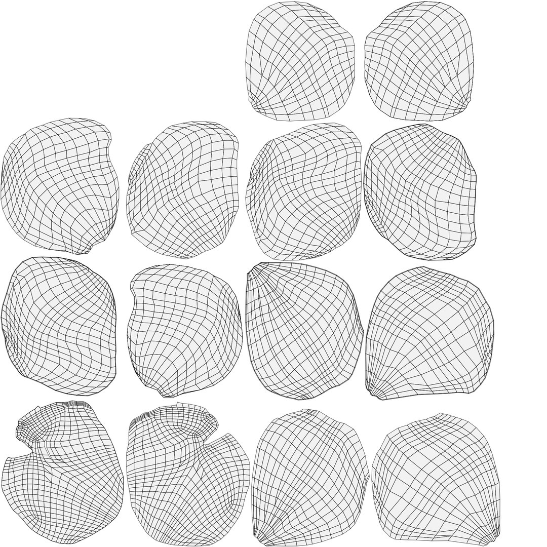 3D Yellow Rose Petals Model - TurboSquid 2265886