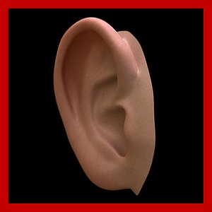 Low Poly Ear 3D Models for Download | TurboSquid