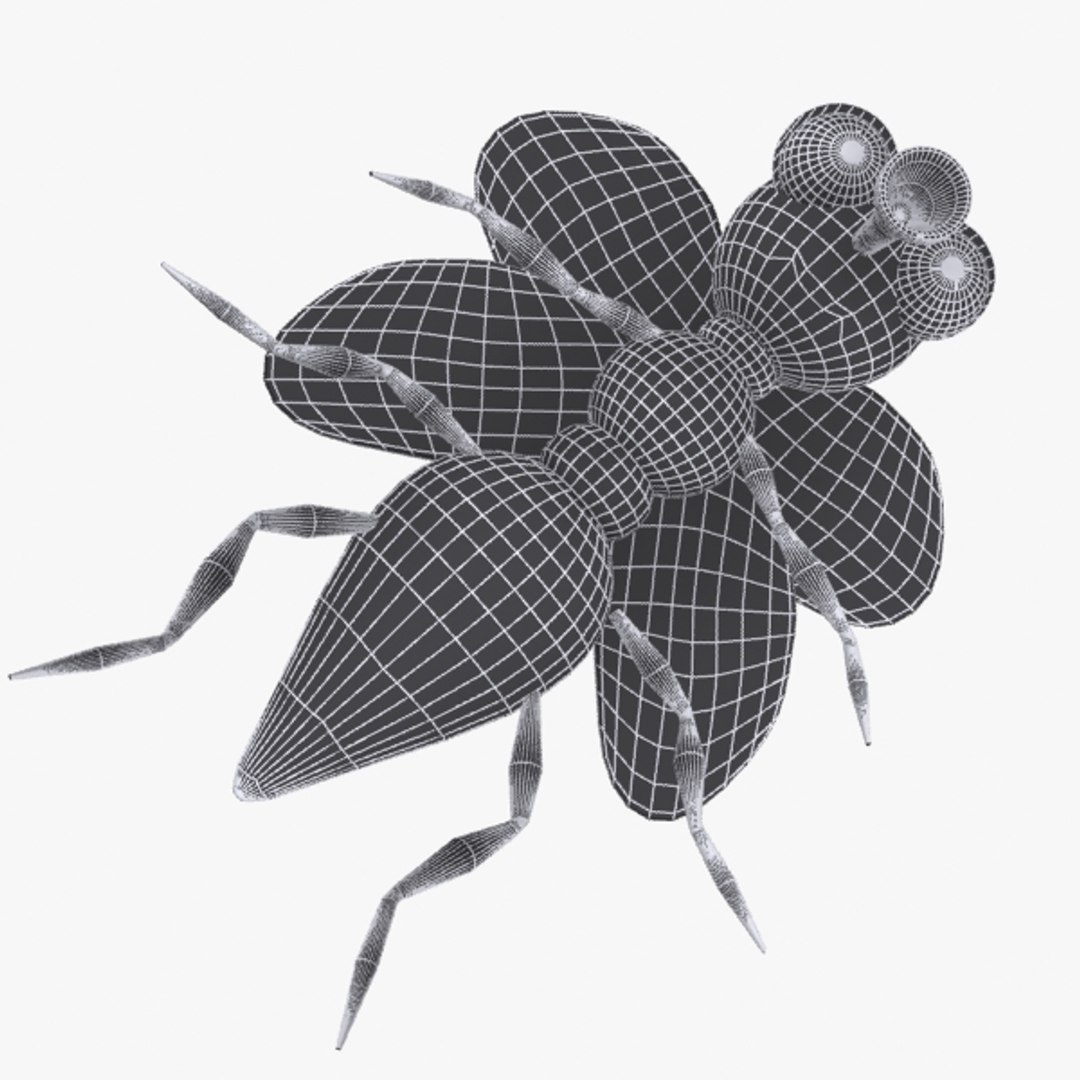 3ds Max Fly Character