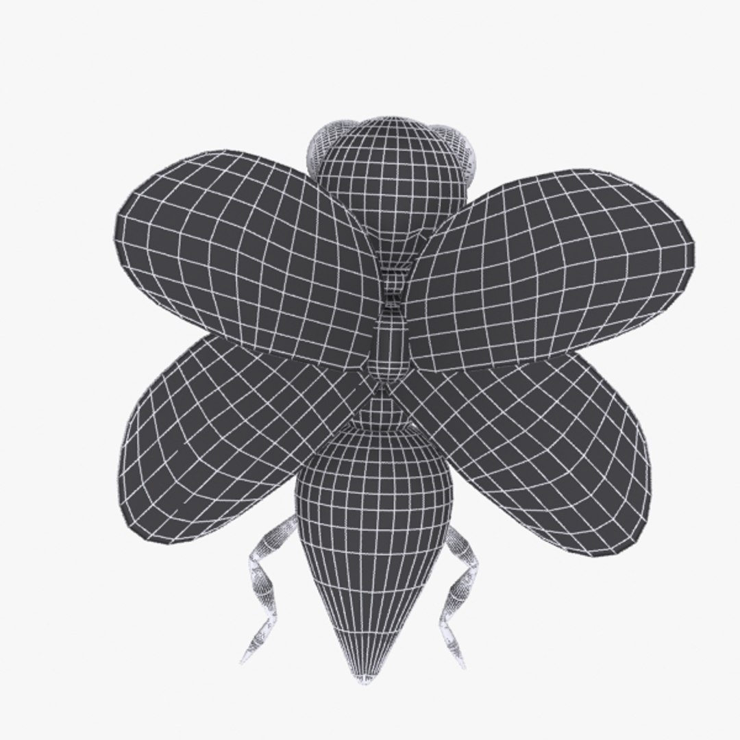 3ds Max Fly Character