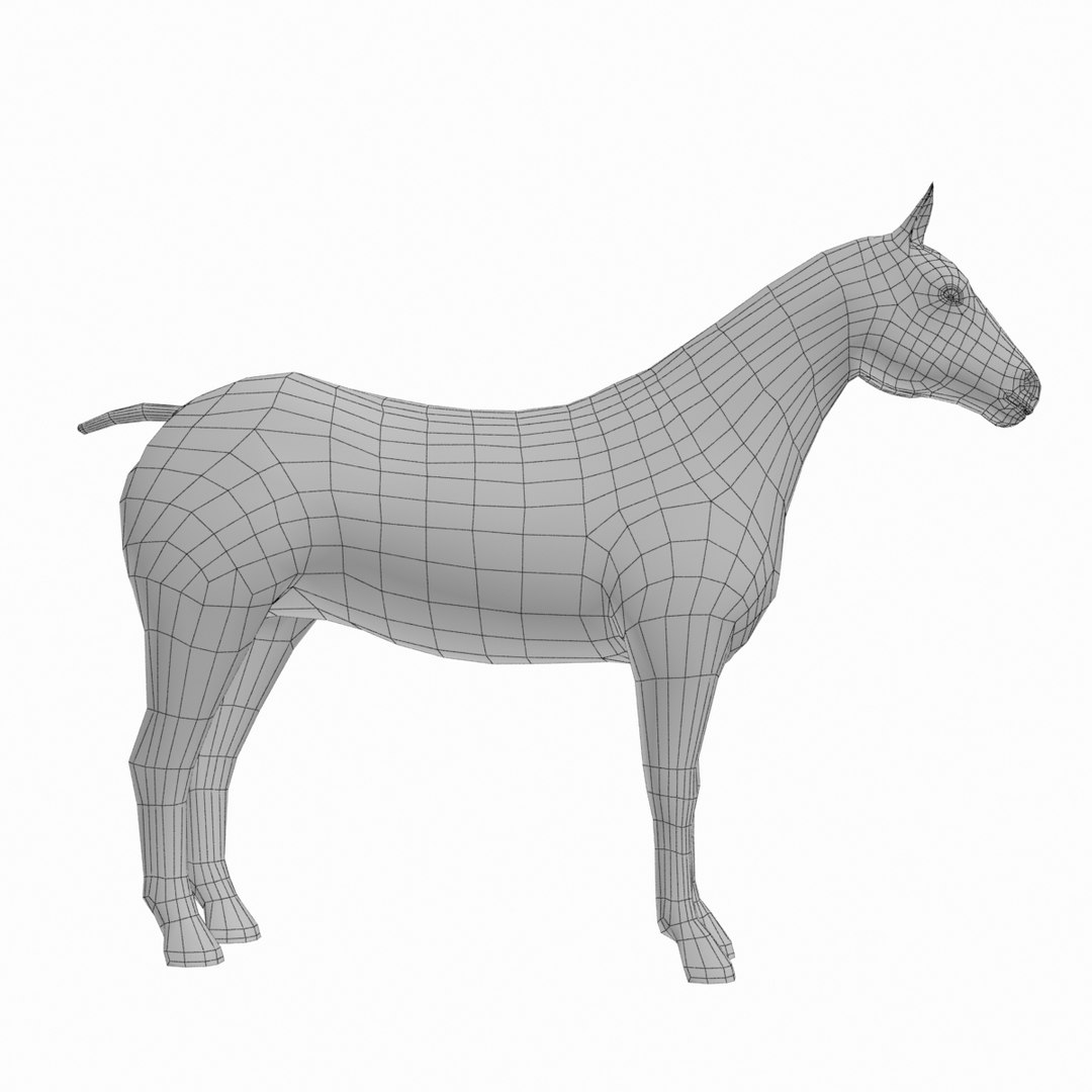 3d Base Mesh Model