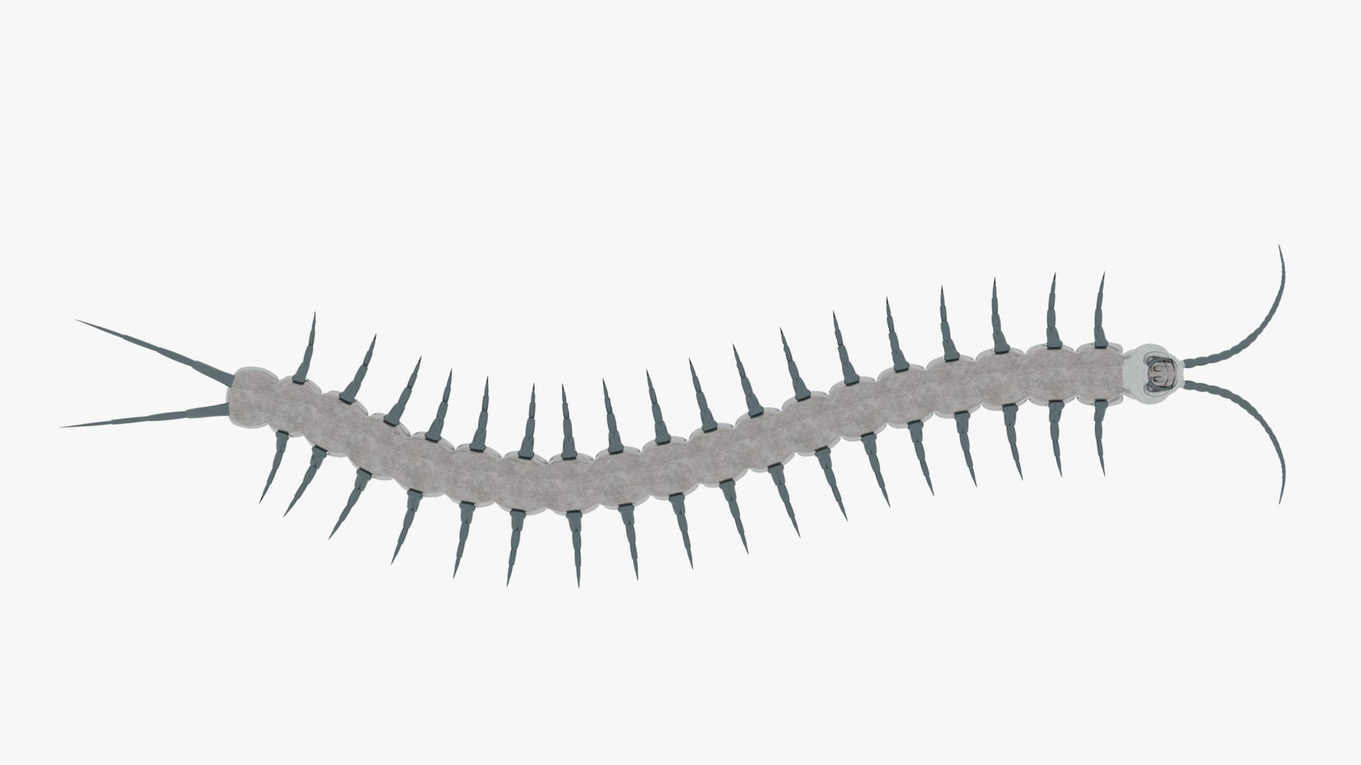 3D Centipede Robot - TurboSquid 1704672