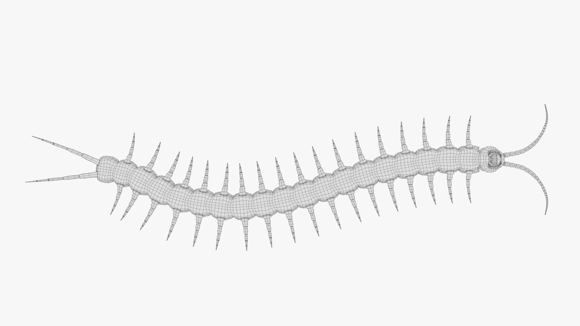 3D Centipede Robot - TurboSquid 1704672