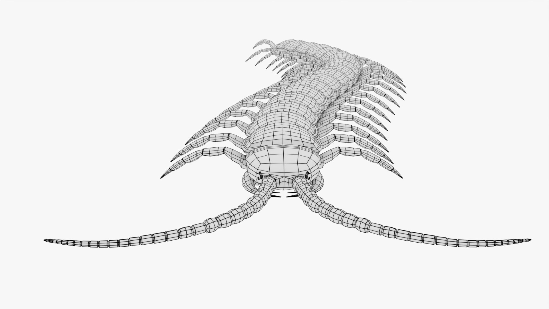 3D Centipede Robot - TurboSquid 1704672