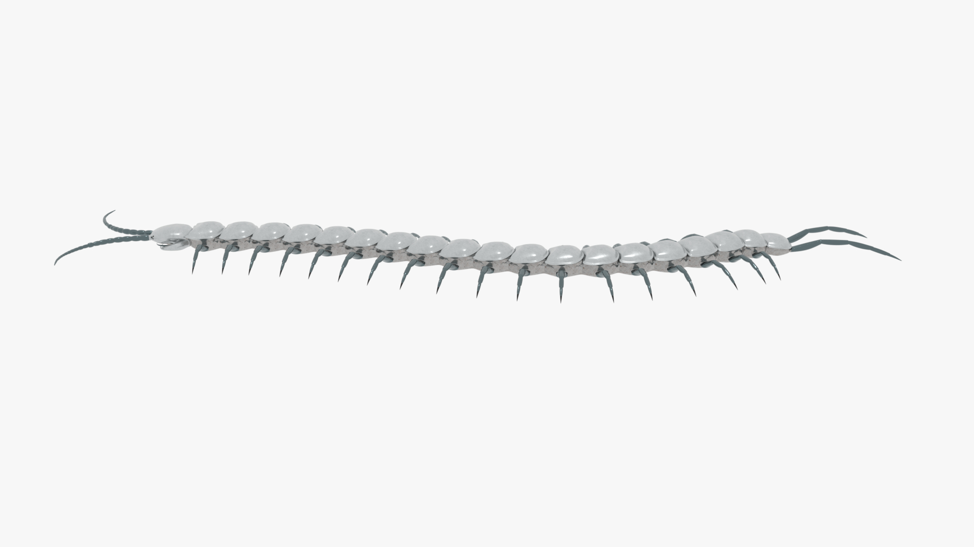 3D Centipede Robot - TurboSquid 1704672