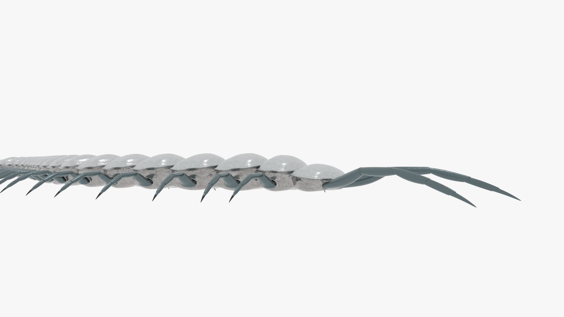 3D Centipede Robot - TurboSquid 1704672