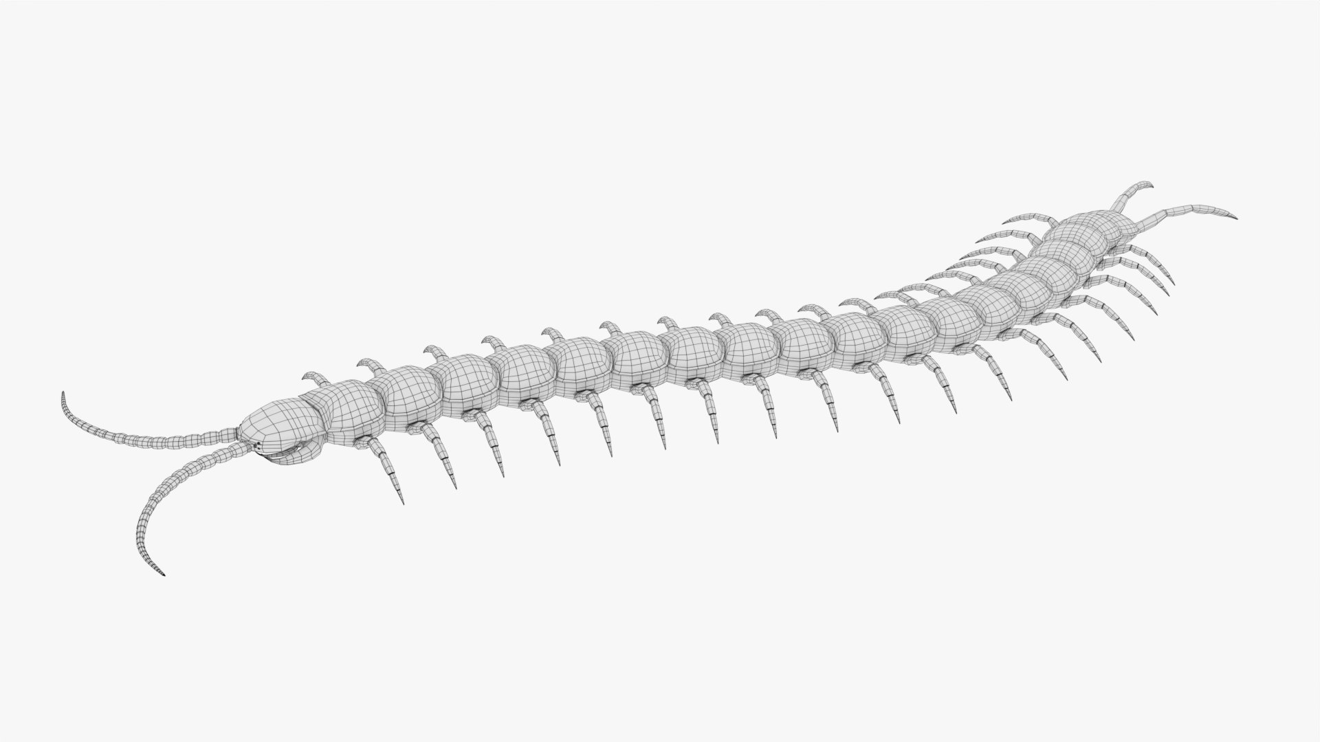 3D Centipede Robot - TurboSquid 1704672