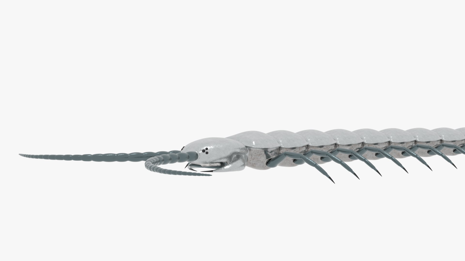 3D Centipede Robot - TurboSquid 1704672