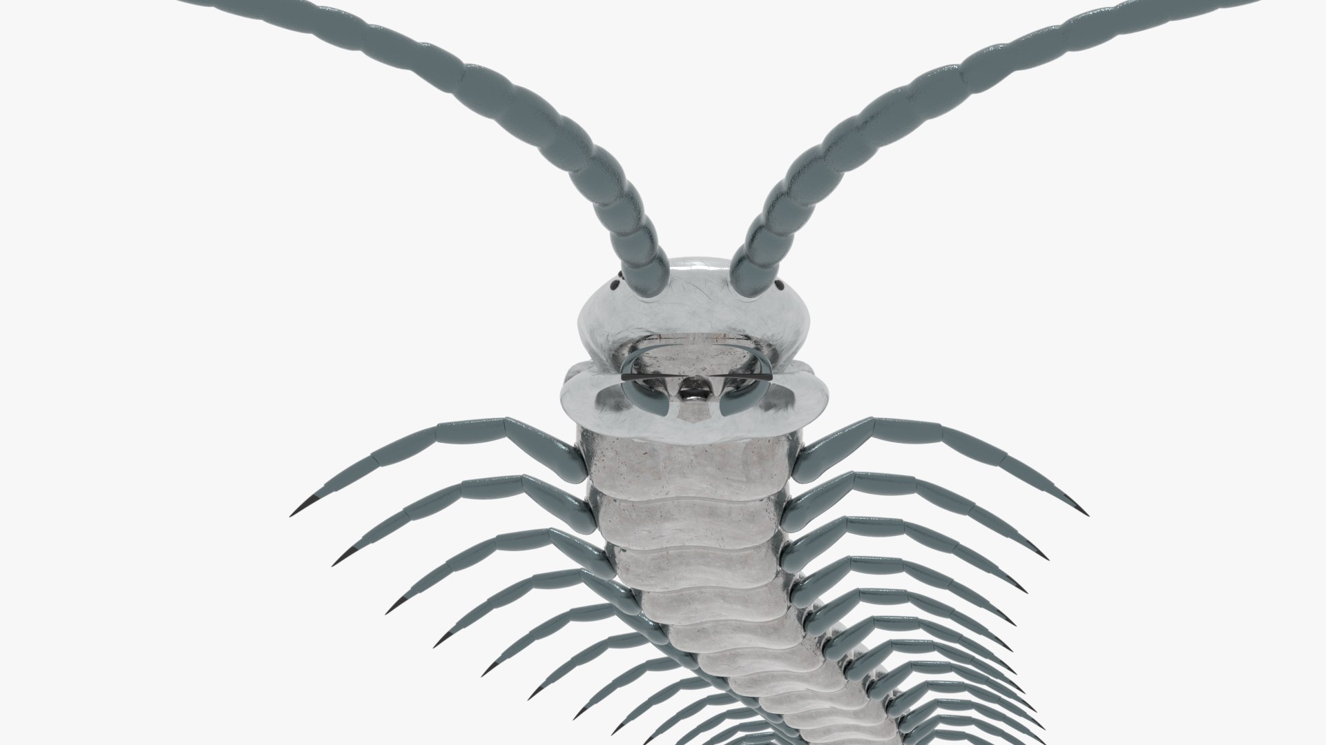 3D Centipede Robot - TurboSquid 1704672