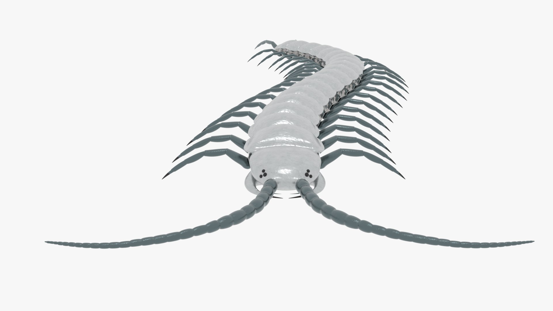 3D Centipede Robot - TurboSquid 1704672