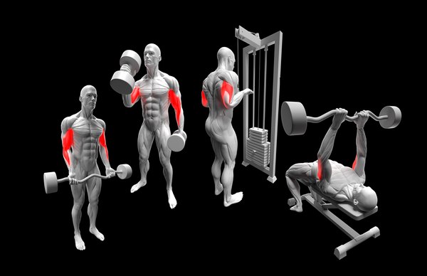 Rigged Bodybuilder 3D Models for Download | TurboSquid
