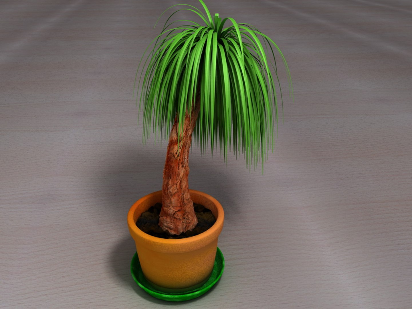 Palm Tree Pot 3d Model