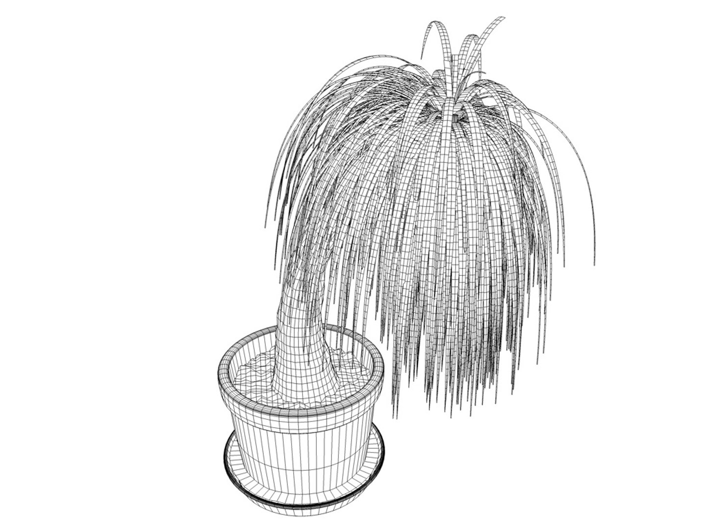 Palm Tree Pot 3d Model