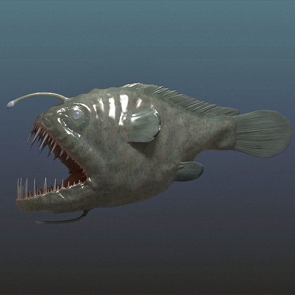 3d angler fish model