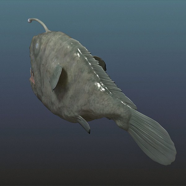 3d angler fish model