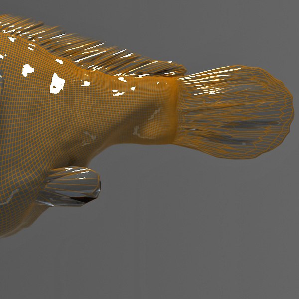 3d angler fish model