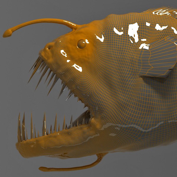 3d angler fish model