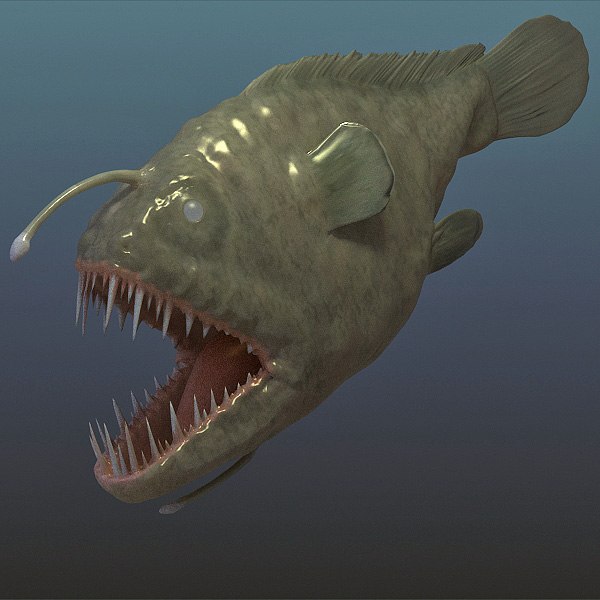 3d angler fish model