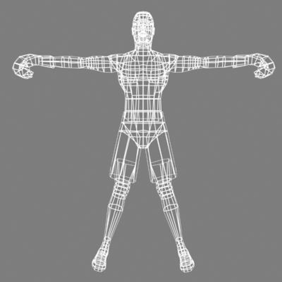 Human Male Boxer 3d Model