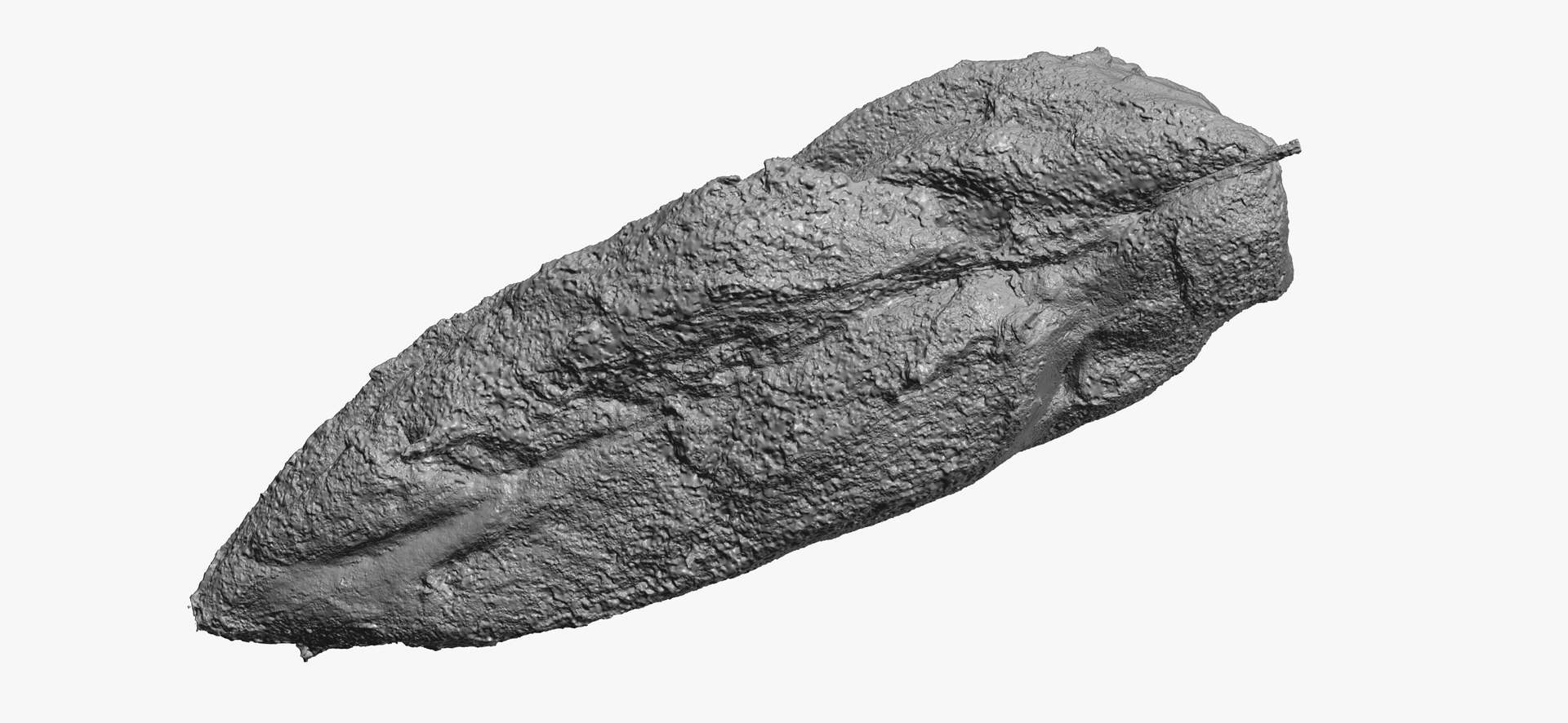 3D Chicken Breast Skin On 02 RAW Scan - TurboSquid 1868779