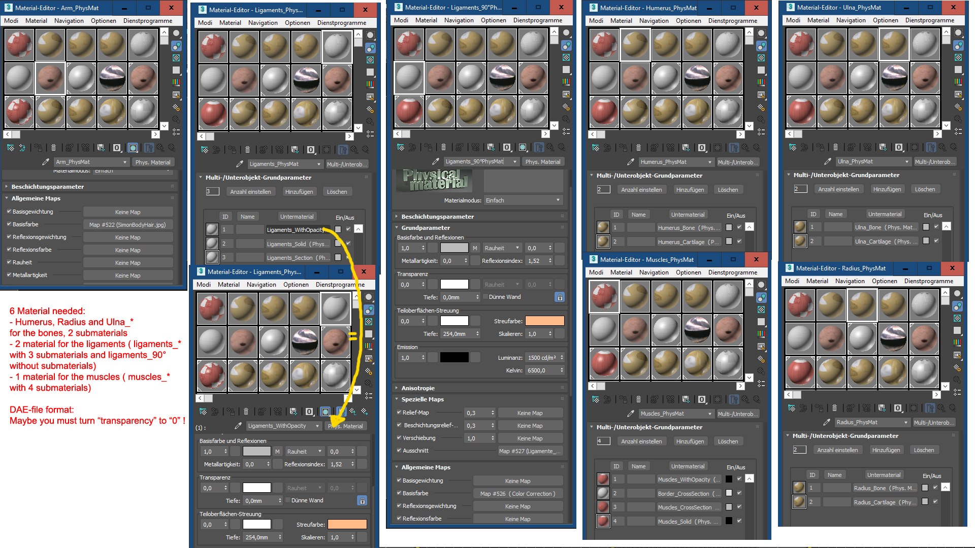 3D Model Anatomy Of The Human Elbow - TurboSquid 2219393