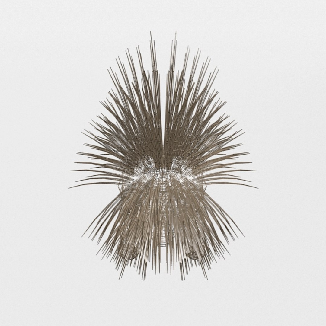 3D Porcupine - TurboSquid 1364362