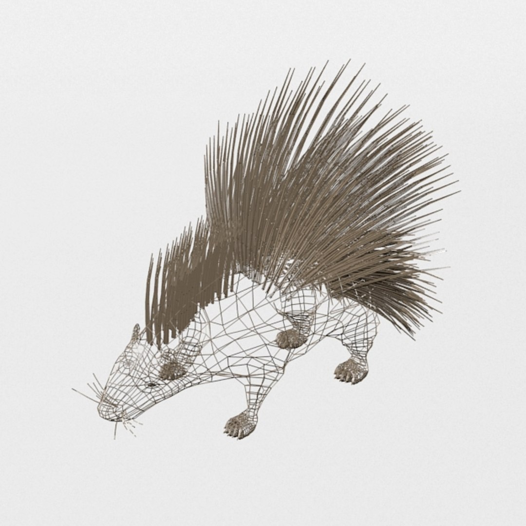 3D Porcupine - TurboSquid 1364362