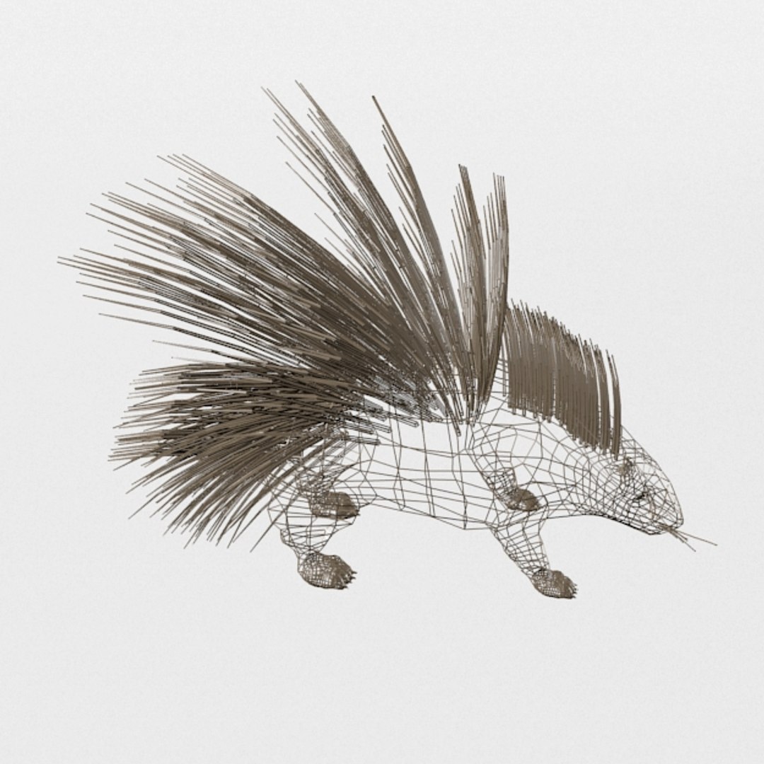 3D Porcupine - TurboSquid 1364362