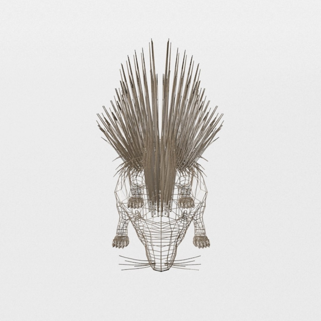 3D Porcupine - TurboSquid 1364362