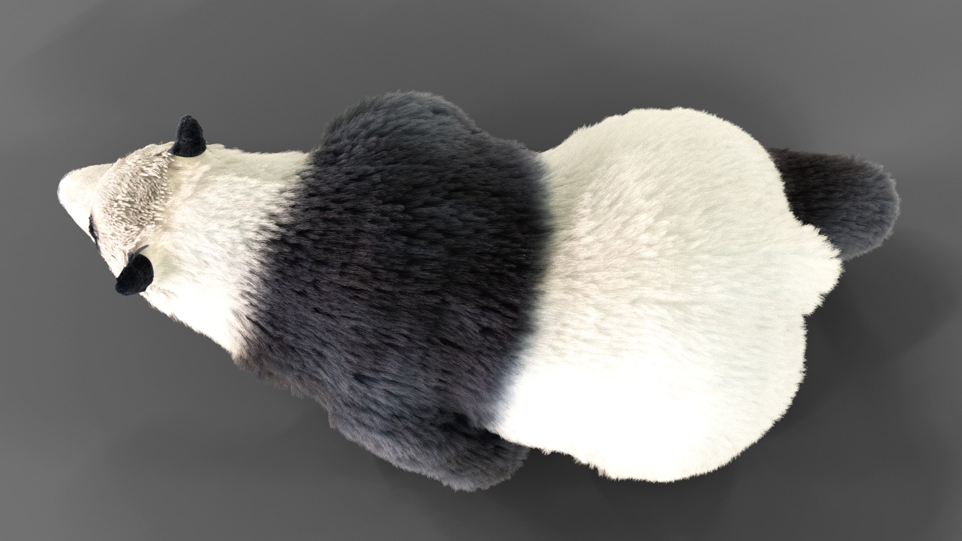 Fur Panda Bear Animated 3D - TurboSquid 1715764