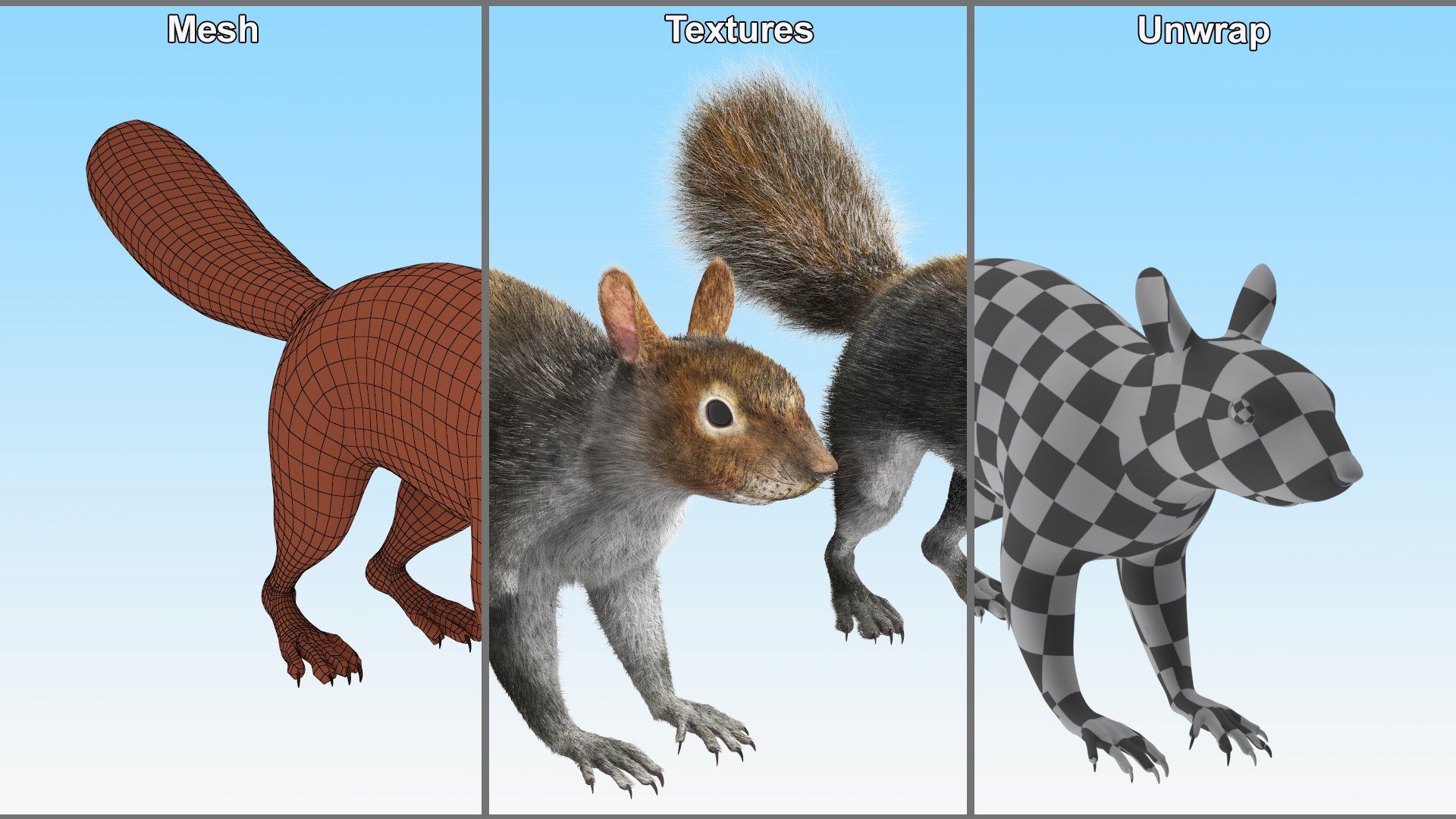 Gray Squirrel Fur Model - TurboSquid 2258146