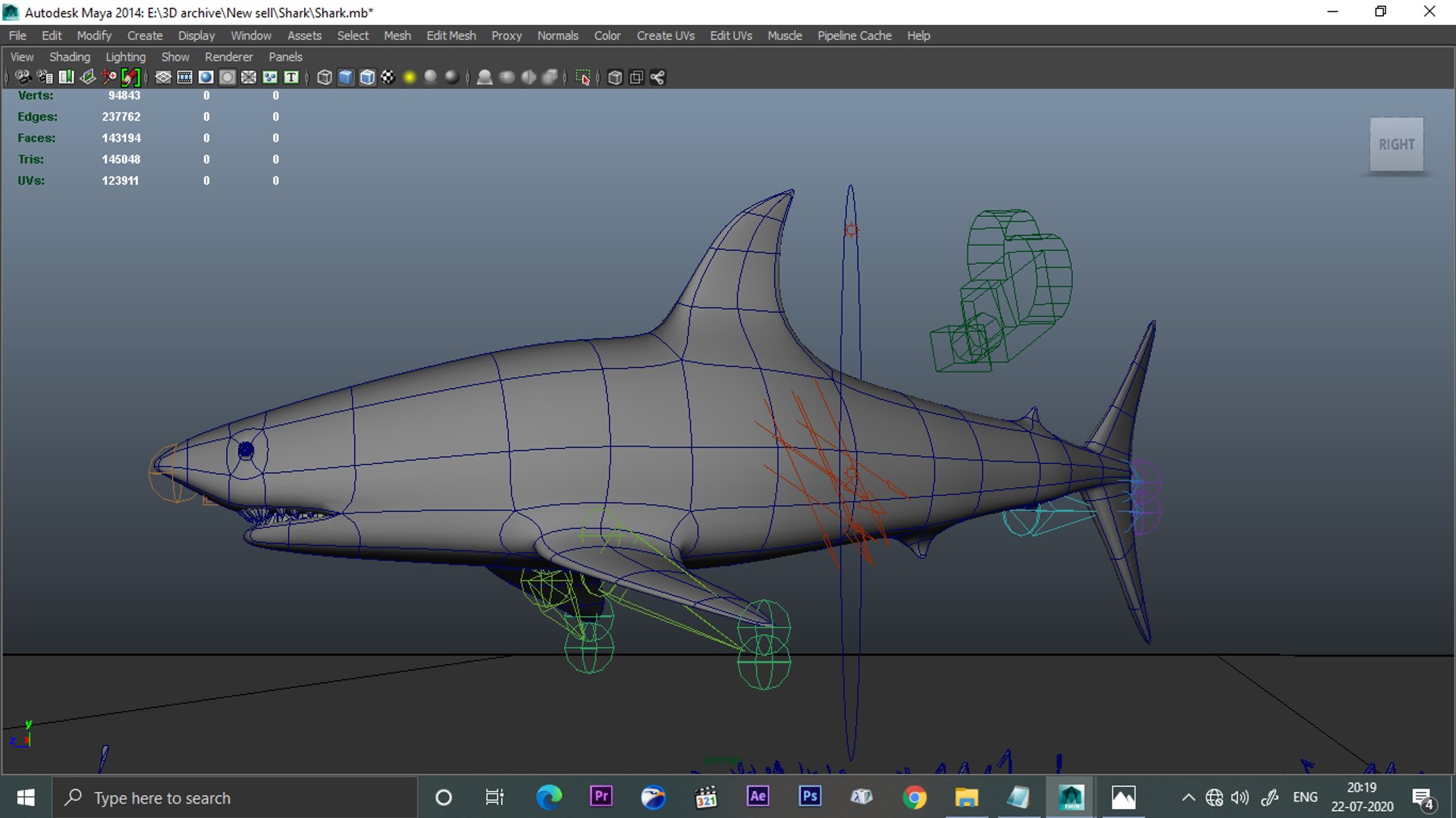Shark 3D model - TurboSquid 1595106