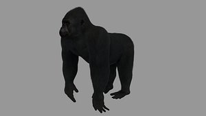 Download 3D Gorilla Blender Models - TurboSquid