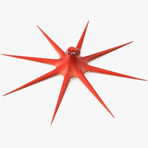 Download Free & Premium Cartoon Octopus 3D Models | TurboSquid