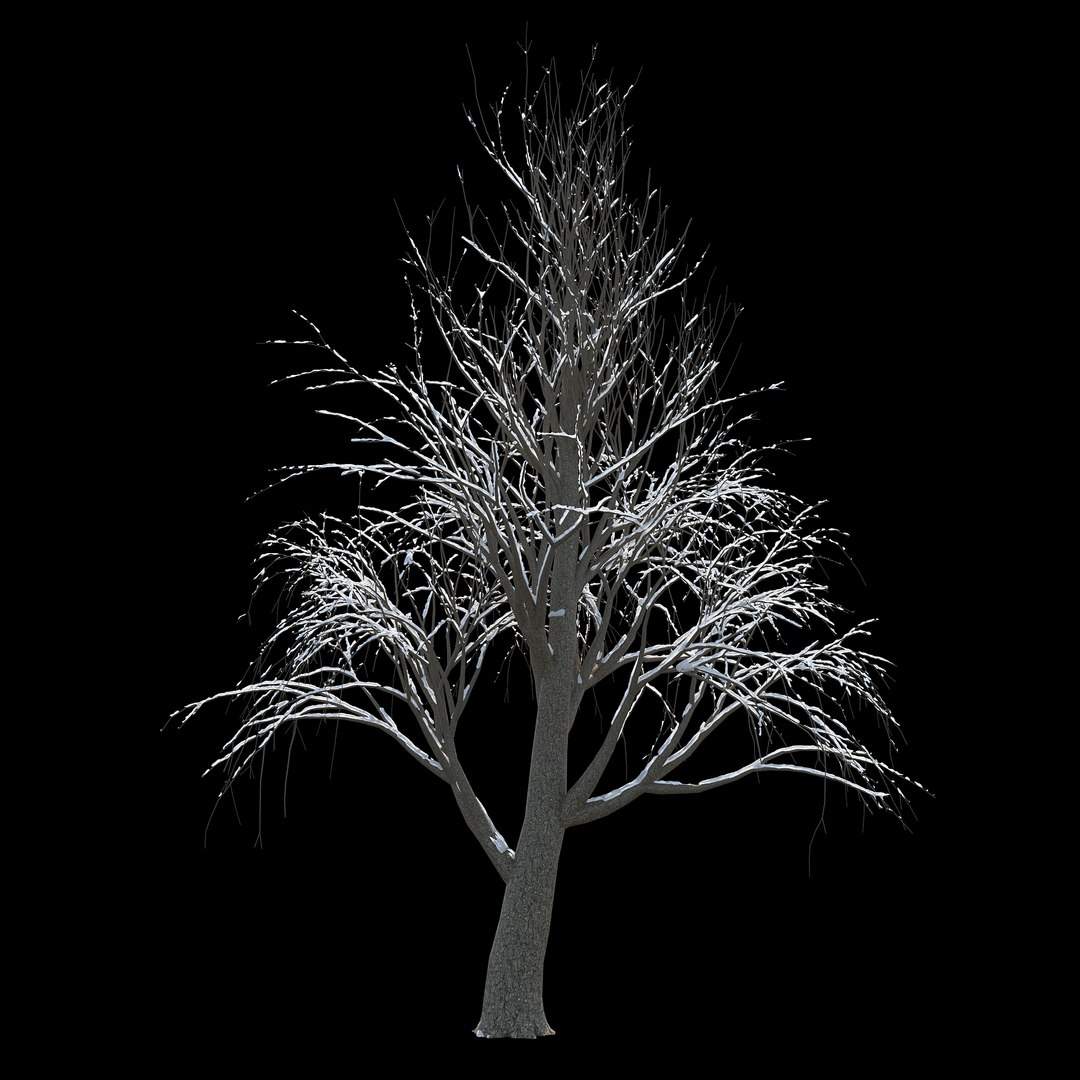3D Winter Tree 030 Snow Model - TurboSquid 1235852
