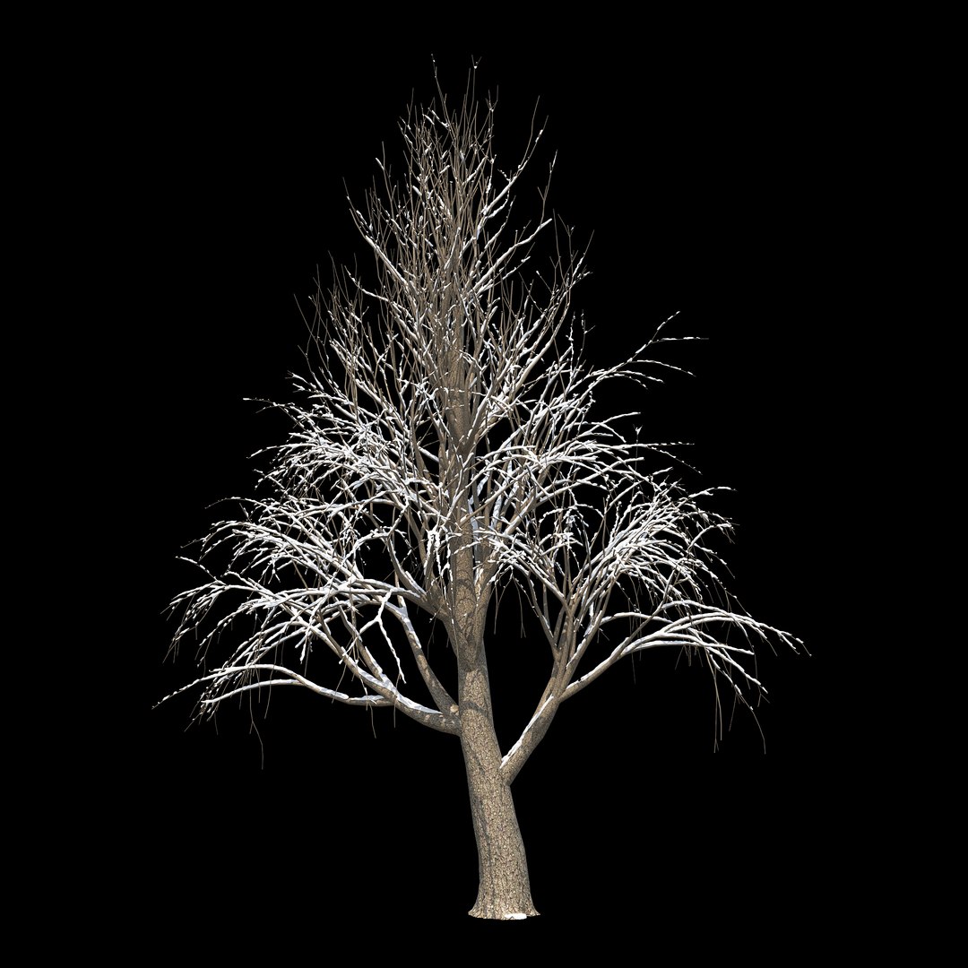 3D Winter Tree 030 Snow Model - TurboSquid 1235852