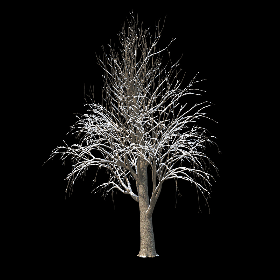 3D Winter Tree 030 Snow Model - TurboSquid 1235852