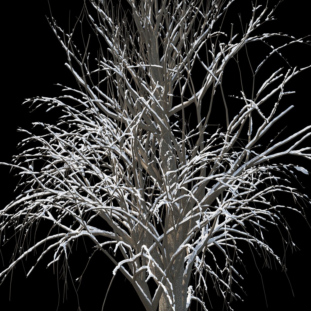 3D Winter Tree 030 Snow Model - TurboSquid 1235852