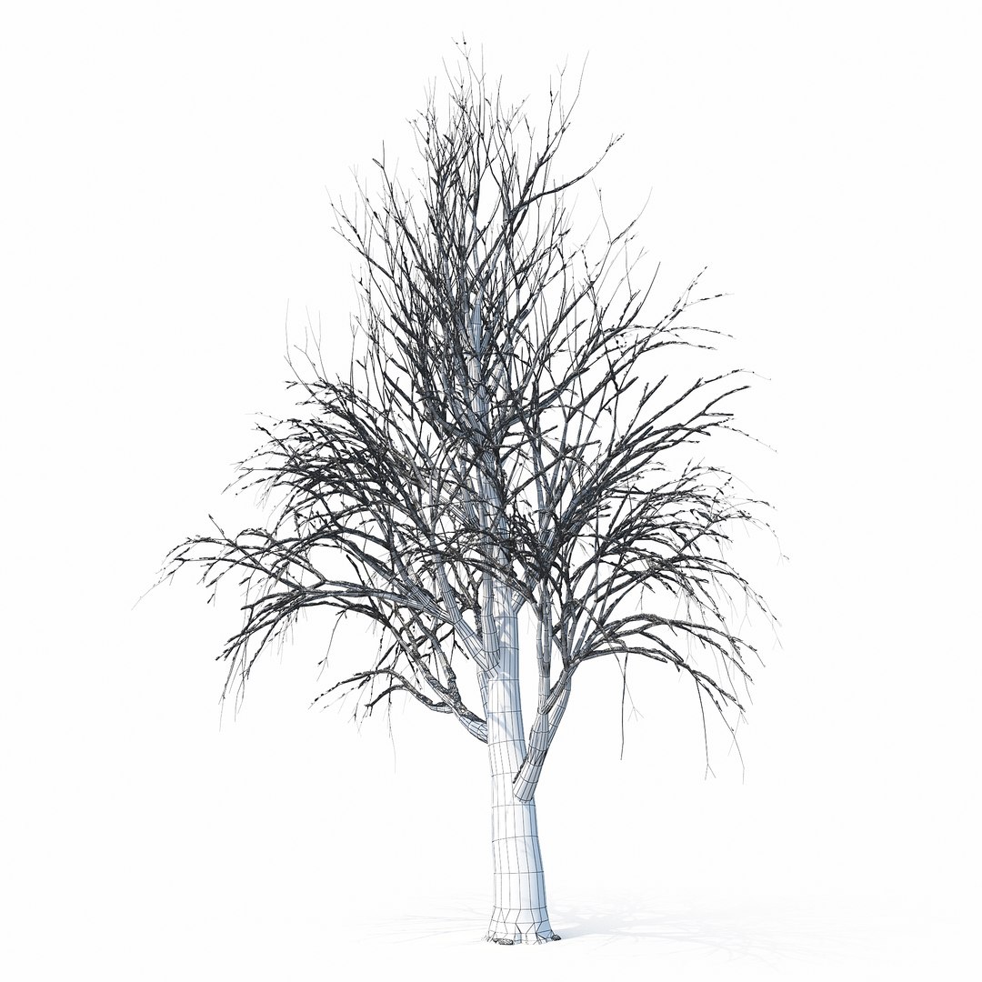 3D Winter Tree 030 Snow Model - TurboSquid 1235852