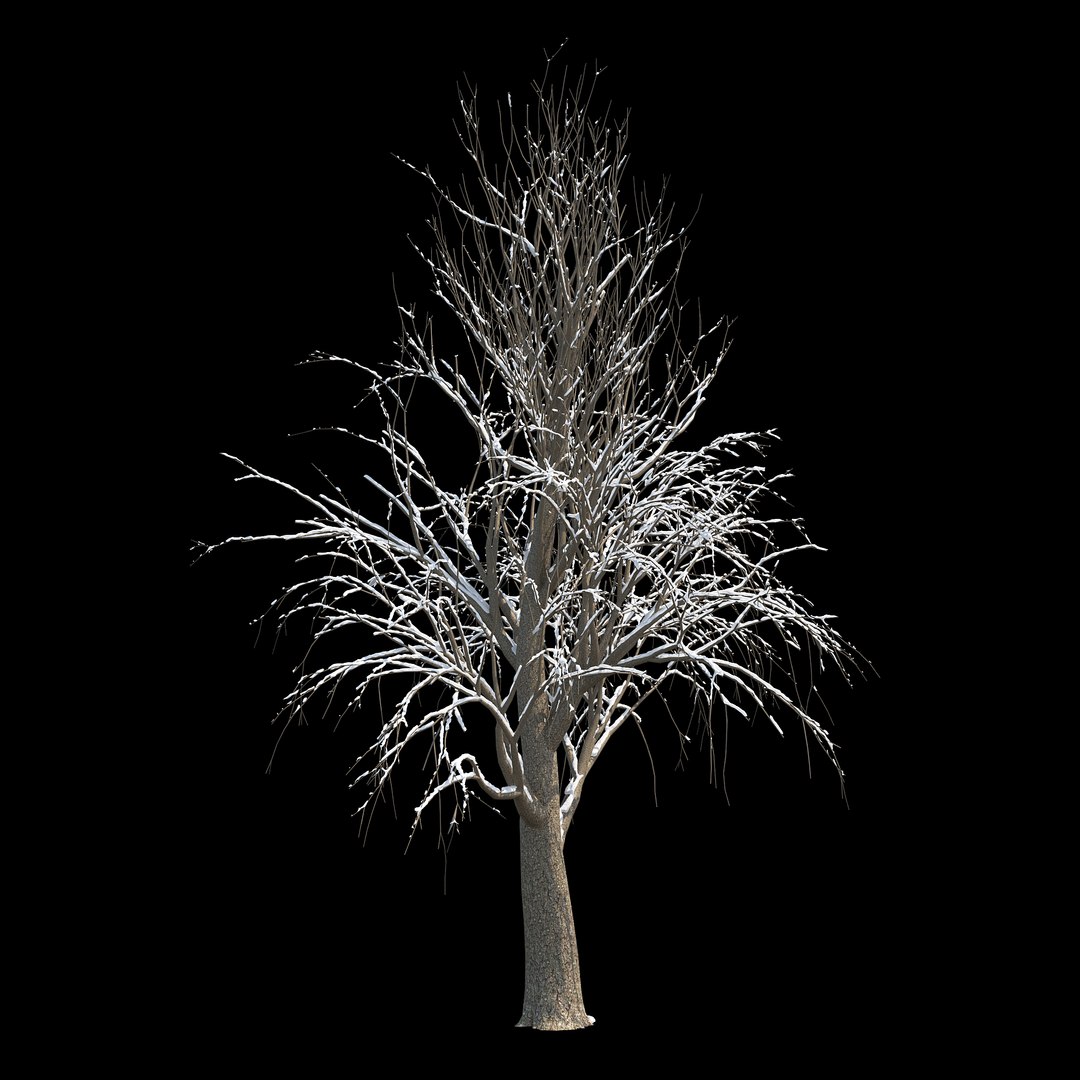 3D Winter Tree 030 Snow Model - TurboSquid 1235852