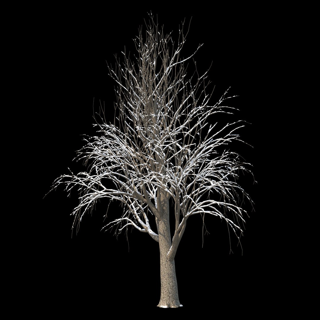 3D Winter Tree 030 Snow Model - TurboSquid 1235852